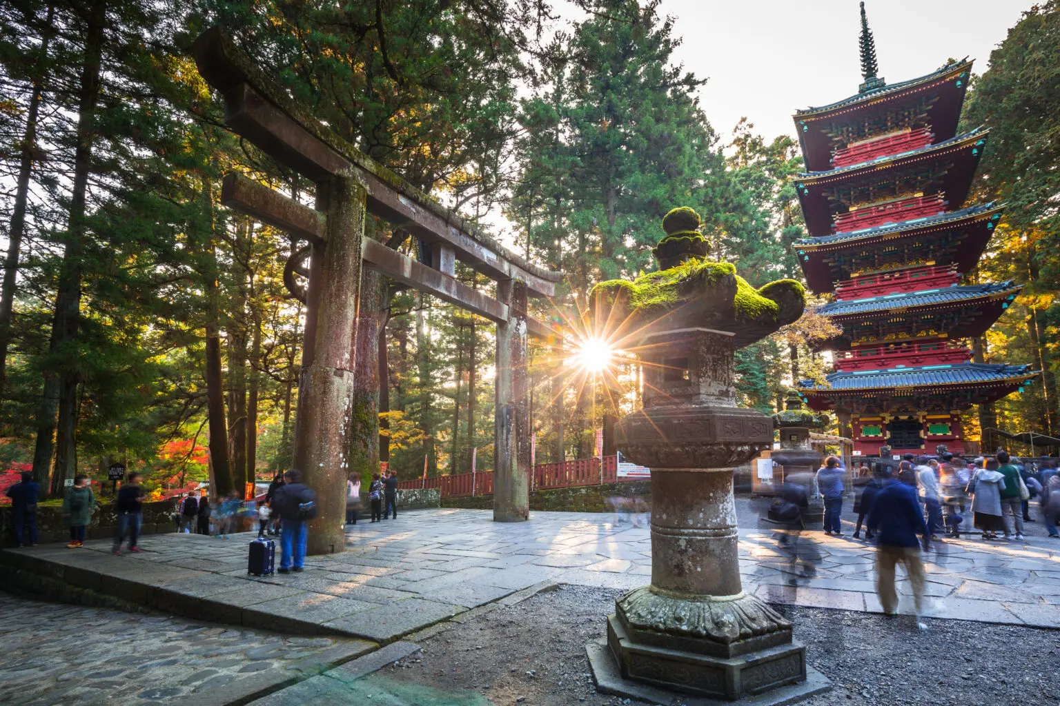 Tokyo Tours | Fuji, Nikko & Kamakura Tours | Tokyo Grand Tours